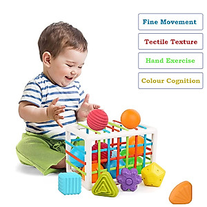 Ingooood Baby Shape Sorting Toy,Sensory Sorting Bin with Elastic Bands,Montessori Toys for 1-3 Year Old (Classic-12 Piece)