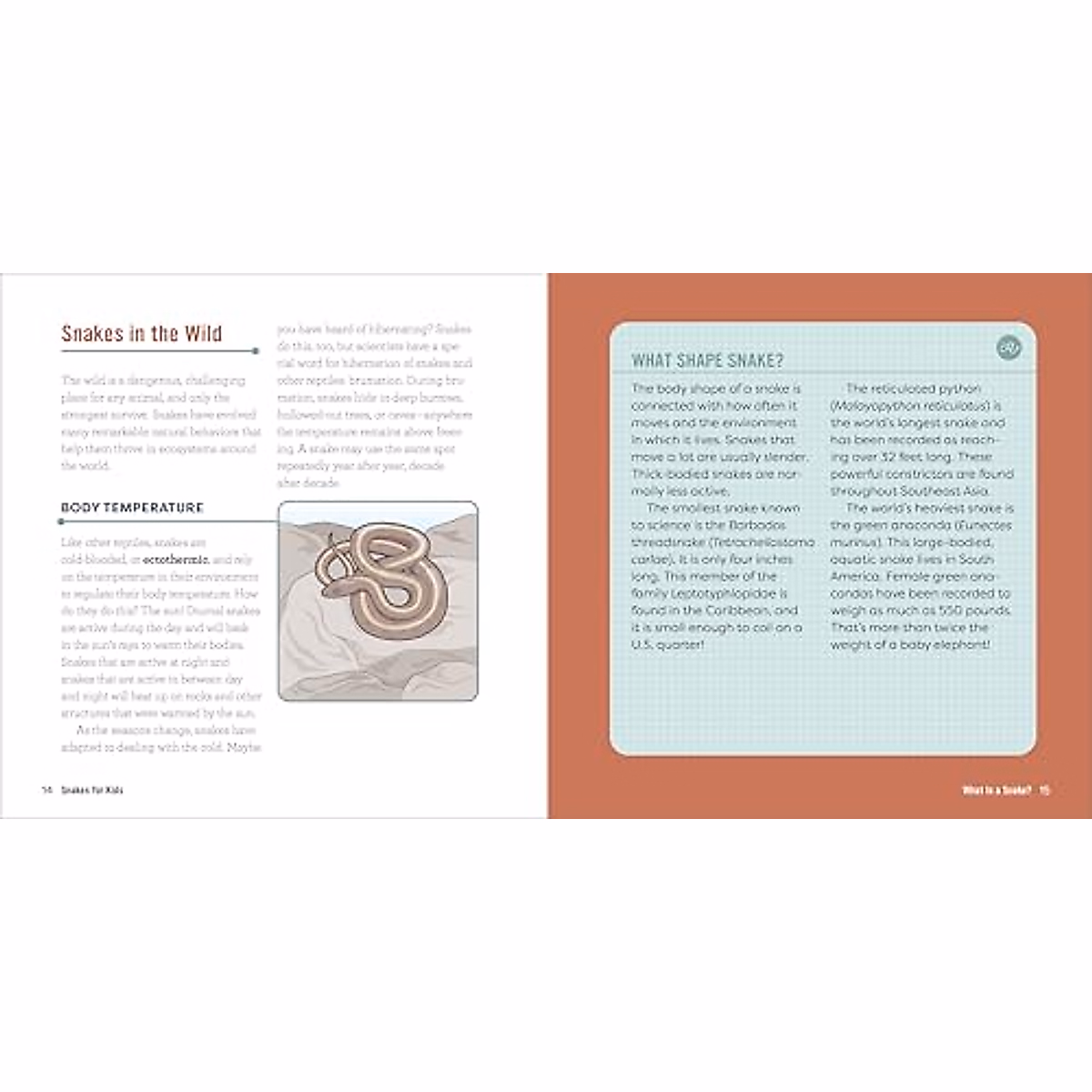 Snakes for Kids: A Junior Scientist's Guide to Venom, Scales, and Life in the Wild