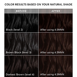 Madison Reed Radiant Hair Color Kit, Dark Brown for 100% Coverage of Resistant Gray Hair, Ammonia-Free, 4.5NNN Barletta Brown, Permanent Hair Dye, Pack of 1