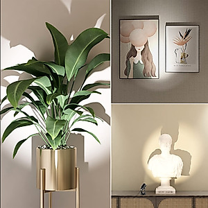 Junview 2 Pack LED Spot Lights Indoor 3000K/4000K/6000K Adjustable Up Lights Indoor 3W Dimmable Floor Spotlight for Plants Uplighting Indoor with Auto On/Off Timer for Pictures Artwork Accent Lighting