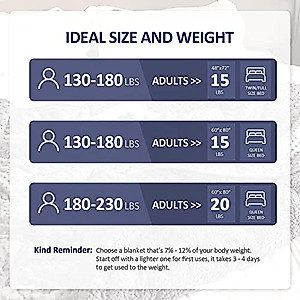 Kivik Weighted Blanket 15 lbs for Adult,Minky Fleece Weighted Throw Full Size,Fuzzy Sherpa Heavy Blanket for Couch,Silver Grey 60x80 Inches