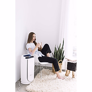 Rowenta XD6065 Active Carbon Filter Odor Eliminator for PU4020 Intense Pure Air Bedroom Auto Purifier