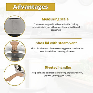 Daniks Oslo Stainless Steel Stock Pot with Glass Lid | Induction 2 Quart | Dishwasher Safe Pot | Heatproof Handles | Soup Pasta Stew Pot | Silver