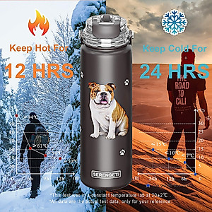 Stainless Steel Water Bottle 24 Oz. with Spill Proof detachable straw - Double walled Vacuum Insulated water flask - Realistic 3D Print - SERENGETI waterbottle (Beagle)