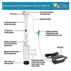 Fish Egg Incubator Tumbler Aquarium Cichlids Fish Hatchery with Aquarium air Pump，Isolation Fish Breeding Box, Small Fish net and Small Aquarium tweezer