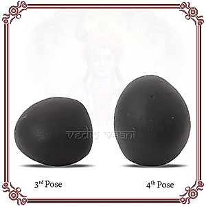 Vedic Vaani Natural Black Stone Tulsi Vivah Vishnu Shaligram Shila for Puja (Pack of 5)