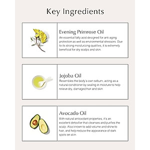 John Masters Organics - Shampoo for Dry Hair with Evening Primrose Good for Thinning, & Color Treated Hair - Moisturizer Infused with Essential Oils, Proteins, & Amino Acids - Sulfate Free - 8 fl oz (Pack of 1)