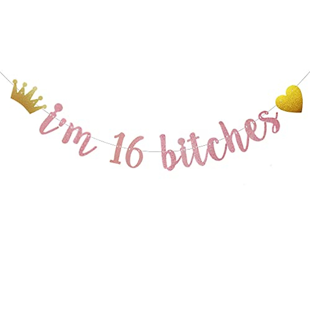 ABCpartyland Rose Gold Glitter Paper I'm 16 Bitches Banner, Funny 16th Birthday Party Decorations Supplies, Pre-Strung,Letters Rose Gold I'm 16 Bitches