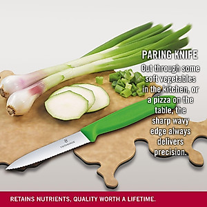 Victorinox 6.7736.L4 Swiss Classic Paring Knife for Cutting and Preparing Fruit and Vegetables Serrated Blade in Green 3.9 inches