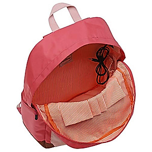 B BRENTANO Unisex Water Resistant Backpack Daypack (Gray)