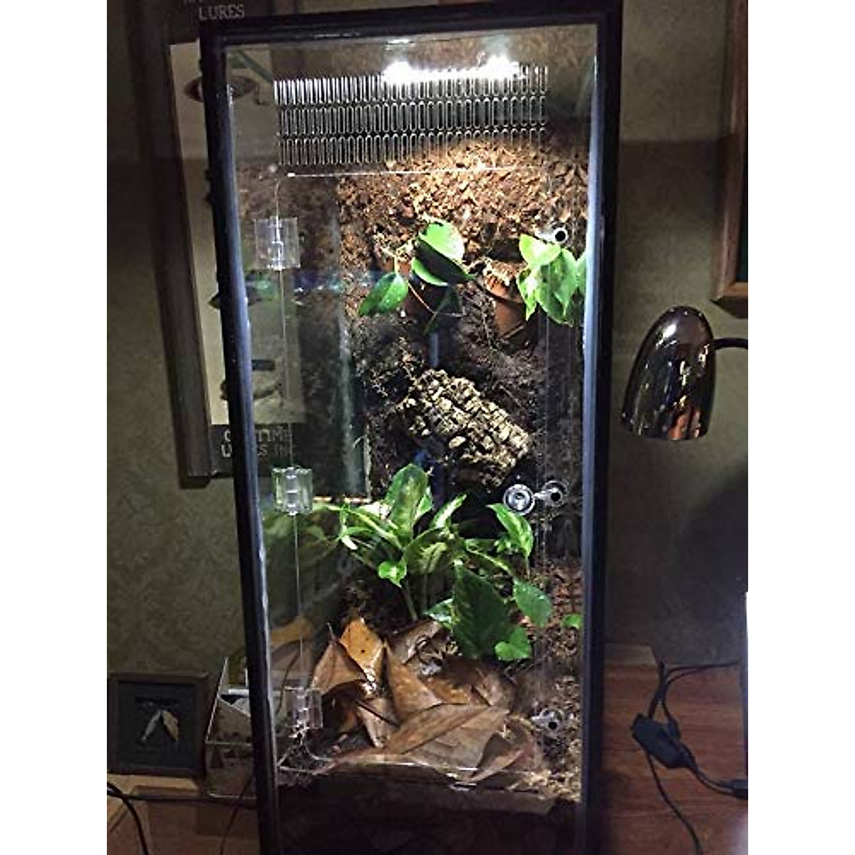 20 Gallon Long Aquarium Gecko/Arboreal Conversion Kit
