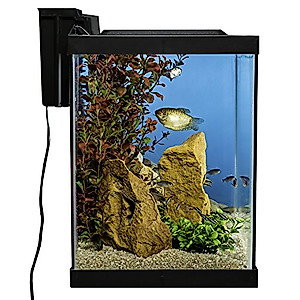 Tetra Aquarium 20 Gallon Fish Tank Kit, Includes LED Lighting and Decor