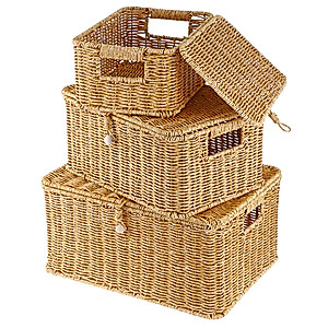 Hipiw Resin Woven Baskets Bin with Lid & Handle - Set of 3 Rectangular Shelf Baskets Multipurpose Storage Basket Boxes Home Decorative Container for Closet Shelf Organizing, Large Size