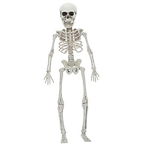 The Mannequin Halloween Skeleton Plastic Models Mannequin Maniquin Scary Halloween Decorations Anatomy Teaching Tools Toy Decorate Props The Sign Some Joints Movable Full Body Mannequin