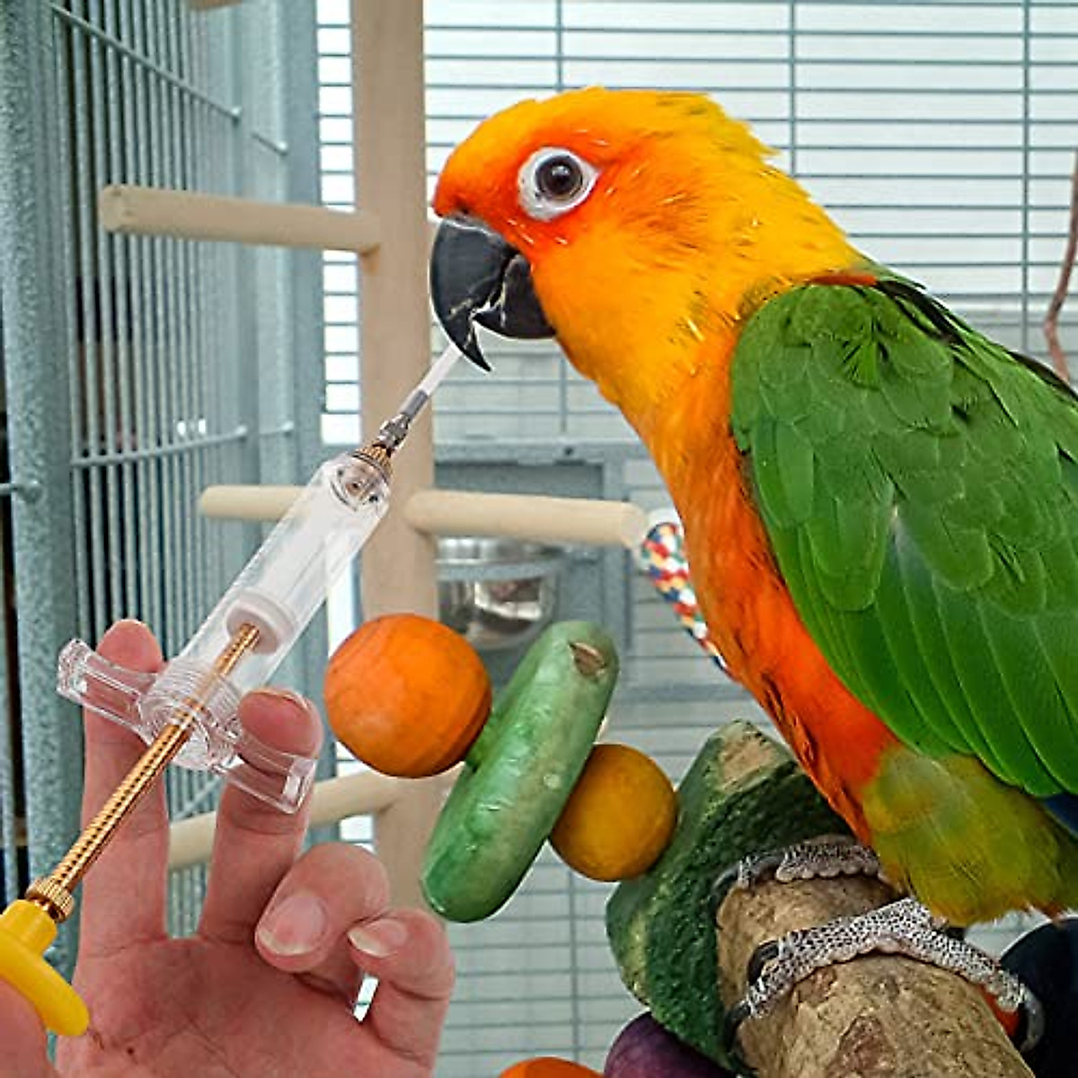POPETPOP Birds Hand Feeding Syringe Bird Feeding Syringe, Birds Feeding Tubes for Small Birds Parrot Hand Feeding Syringe (2pcs Feed / 6 Pcs Curved Gavage Tubes) Parrot Feeding Syringe