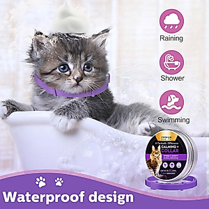 Silkfly 8 Pcs Calming Collar for Cats Adjustable Cat Calming Collar with 8 Pendant Calming Pheromone Collar for Cat Pheromone Kittens Behavior and Calming Collar Relieve Anxiety Stress for Kitten Cat