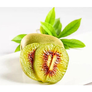 Red Flesh Kiwi Fruit Live Plants Chinese Gooseberry Actinidia chinensis - Height 12 inch for Yards and Garden Decoration