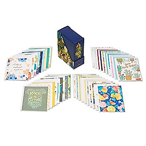 American Greetings Deluxe All Occasion Cards with Envelopes - Birthday, Thanks, Congrats and More (40-Count)