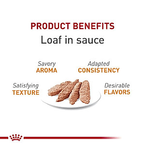 Royal Canin Feline Care Nutrition Hair & Skin Care Loaf in Sauce Canned Cat Food, 3 oz., Case of 24