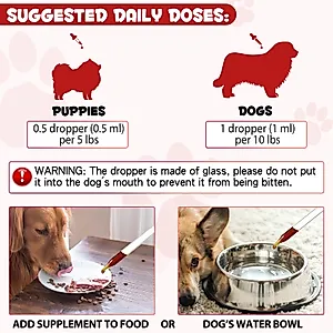 Iron Supplements for Dogs, Liquid Iron for Dogs with Folate and B12 Supports Anemia, Supplement for Anemia in Dogs, Promotes Blood Health 2 oz