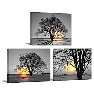 Nachic Wall - 3 Piece Black and White Tree Wall Art Gold Sunset Landscape Painting Print on Canvas Framed Warm Winter Scenery Poster for Living Room Bedroom Decoration