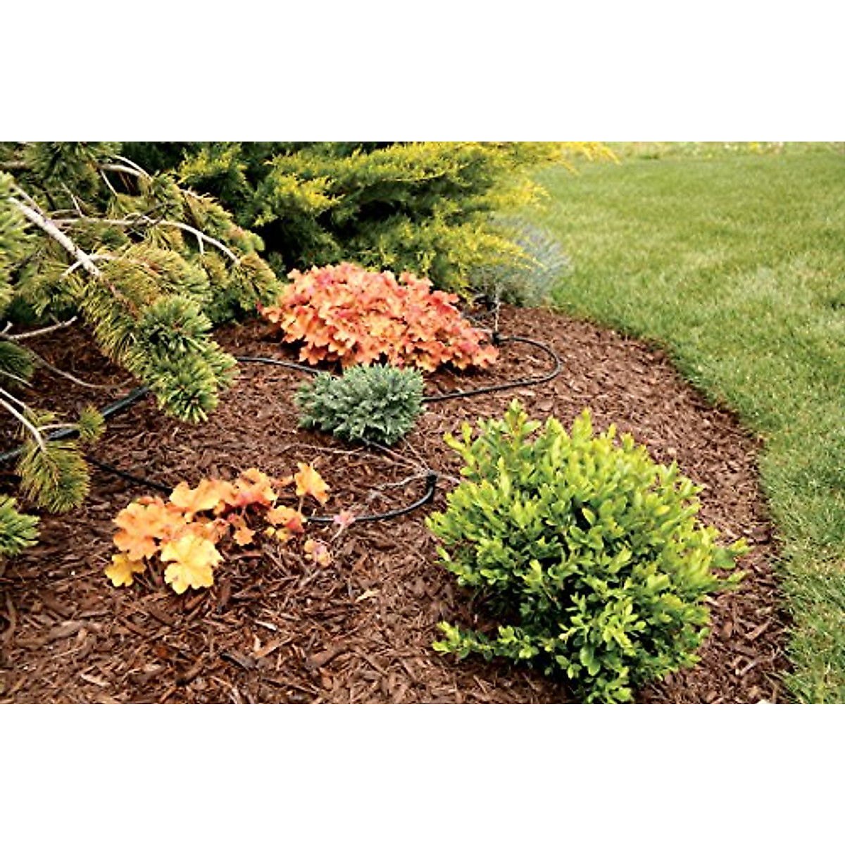 Rain Bird LNDDRIPKIT Drip Irrigation Landscape/Garden Watering Kit with Drippers, Micro-Bubblers, Micro-Sprays