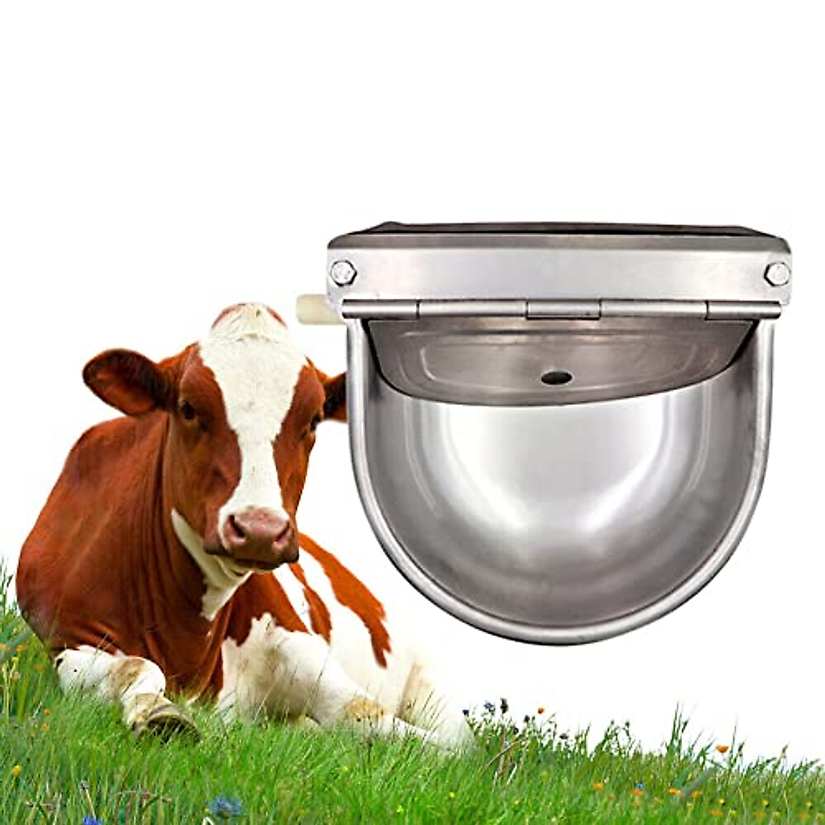 LinaLife Stainless Steel Automatic Waterer Bowl Horse Cattle Goat Sheep Pig Dog Float Valve Water Trough Farm Supplies Livestocktool with Float Valve Water Trough for Livestock Dog Goat Pig Waterer