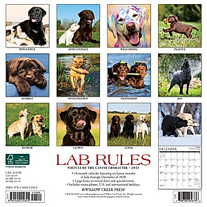 Lab Rules 2021 Wall Calendar (Dog Breed Calendar)