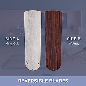 Prominence Home Saybrook, 52 inch Indoor Farmhouse LED Ceiling Fan with Light, Pull Chain, Three Mounting Options, Dual Finish Blades, Reversible Motor - 51592-01 (Matte Nickel)