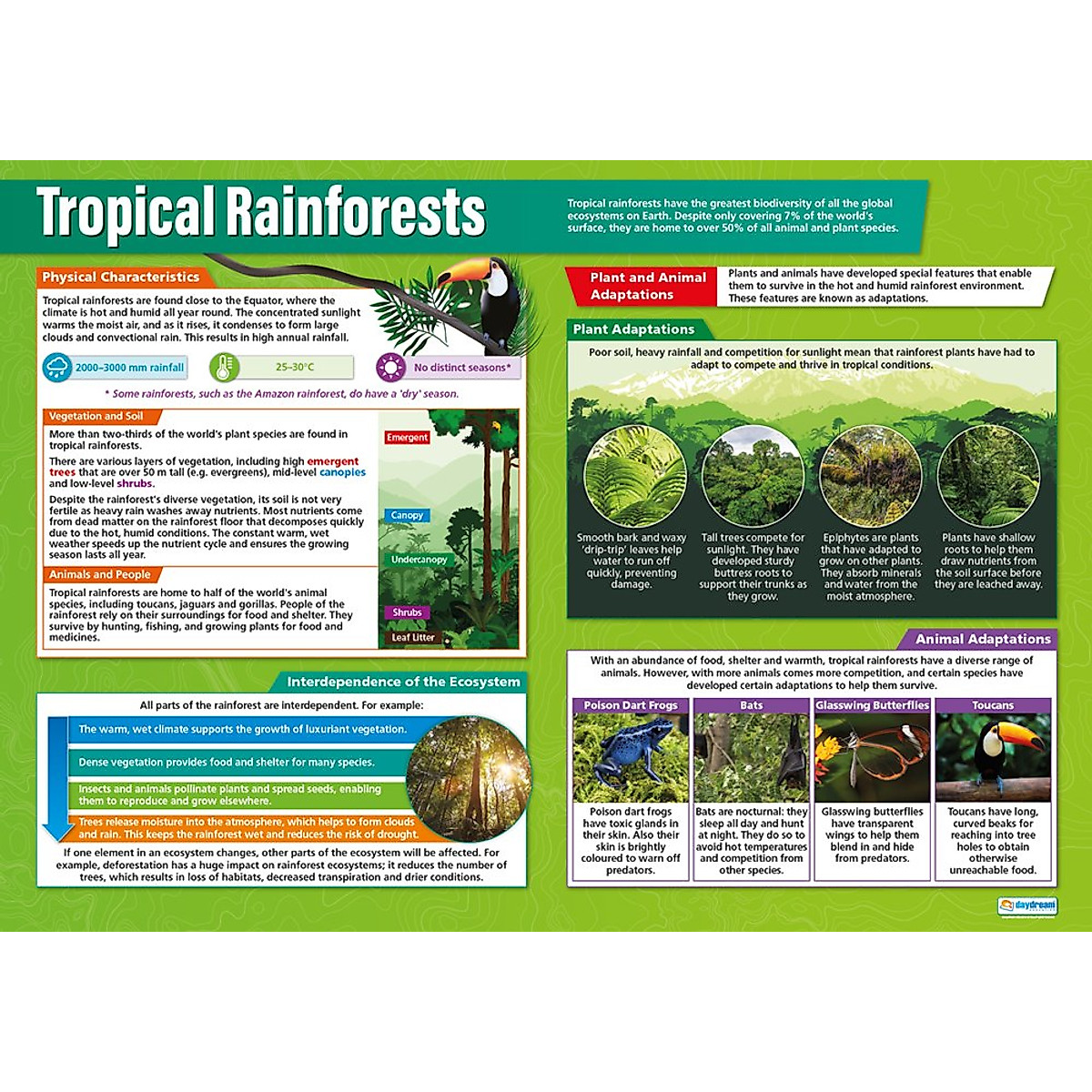 Daydream Education Tropical Rainforests | Geography Posters | Laminated Gloss Paper measuring 33” x 23.5” | Geography Classroom Posters | Education Charts