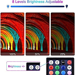 Smart Outdoor LED Flood Light,RGBW Landscape Light Stage Light Controled by APP/Alexa/Google Home,5000K 200W Equivalent IP66 Waterproof Timing Dimmable,Suit for Garden Party Halloween,2 Pack