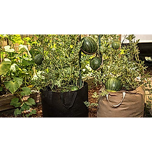 Smart Pots 20-Gallon Smart Pot Soft-Sided Container, Tan with Strap handles