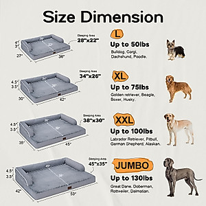 Large Dog Bed Orthopedic Washable - Beds Bolster - Medium XL XLarge Big Dogs - Memory Foam Couch Sofa - Waterproof with Removable Cover