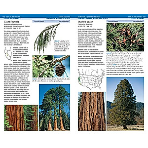 National Wildlife Federation Field Guide to Trees of North America