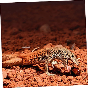 GREENADSCAPE 1pc Pet Heating Mat Reptiles Hermit Crab Tank Tortoise Heat Pad Dog Heated Bed Reptile Supplies Warming Snake Enclosure Accessories Heater Pet Warmer Mat Reptile Heat Lamp Animal