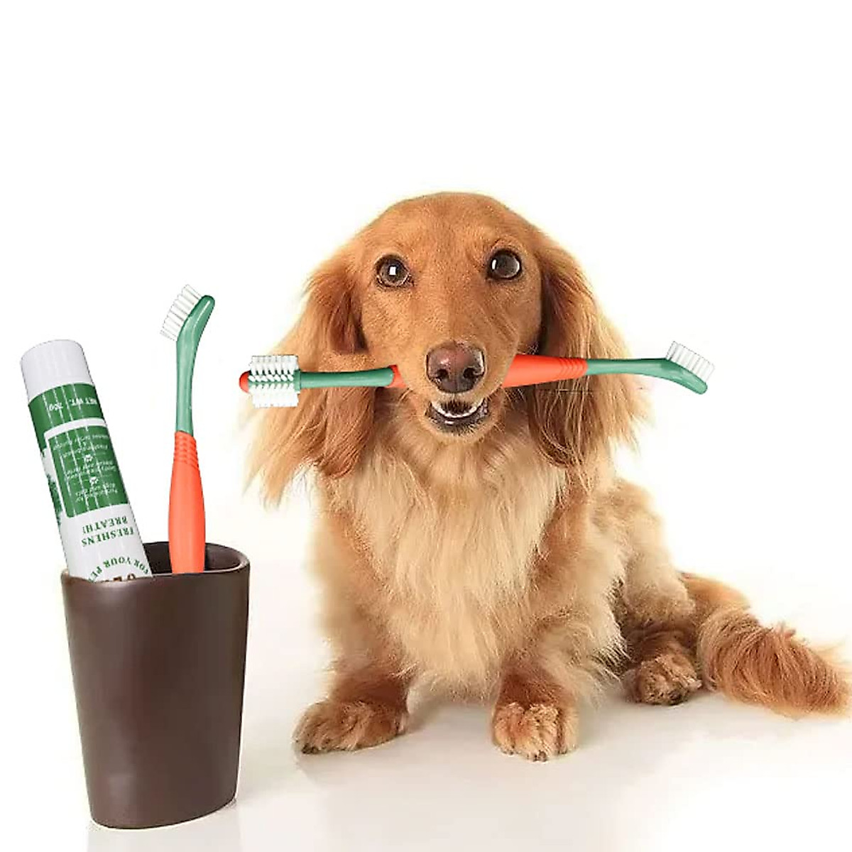 windhunt A Series of Sets for Pets Tooth Protecting and Cleaning. Including Toothpaste,Toothbrush and Fingerbrush.Preventing Tartar Buildup and Plaque.Beef Flavor.(Large)