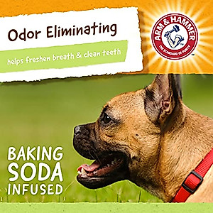 Arm & Hammer Rock-N-Roller Stuffable Dental Chew Toy for Dogs | Perfect Fit for Tennis Ball | Best Dog Chew Toy For the Toughest Chewers | Reduces Plaque & Tartar Buildup Without Brushing, Red