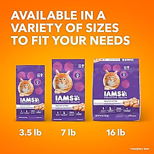 IAMS PROACTIVE HEALTH Healthy Kitten Dry Cat Food with Chicken, 7 lb. Bag