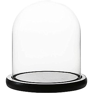 WHOLE HOUSEWARES | Decorative Clear Glass Dome | Cloche Glass Dome for DIY Snow Globes | Tabletop Centerpiece | Cloche Bell Jar Display Case | Black MDF Base, 5.7" D X 6.5" H