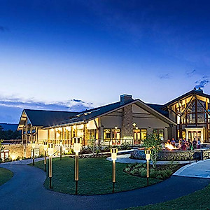 Trlec gt4-ly 24 pcs 5W High Brightness Solar Power LED Lawn Lamps with Lampshades Warm White.Used in Greenhouse, Landscape Lighting, Home Garden, or Small Pot Plant etc