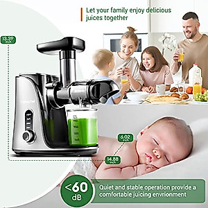 Juicer Machines,AMZCHEF Slow Masticating Juicer Extractor, Cold Press Juicer with Two Speed Modes, Travel bottle(500ML),LED display, Easy to Clean Brush & Quiet Motor for Vegetables&Fruits,Gray