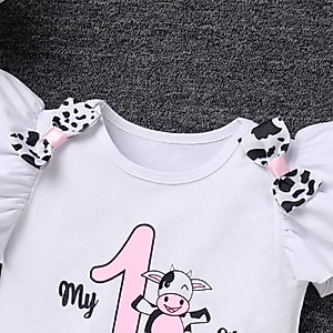 Cow Themed First Birthday Girl Outfit Romper Tutu Skirt Headband Cake Smash Photoshoot Toddler Baby Cows Print My 1st Birthday Outfit Farm Animals Party Supplies Infant Halloween Costume Pink 1T