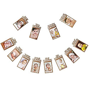 OOTSR 1st Birthday Photo Banner Growth Record 1-12 Month Photo Prop for First Birthday Party Bunting Decor