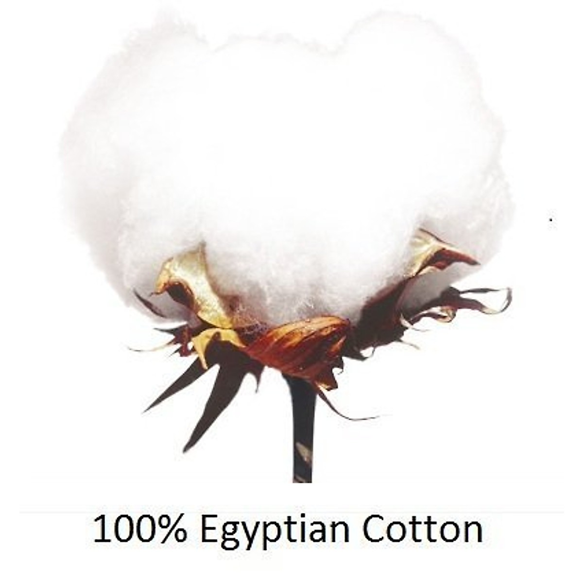 Luxora Bedding Heavy Wight 100% Egyptian Cotton, 1000 Thread Count Sheet Set Full Size Red Bed Sheets,8 Inches Deep Pocket