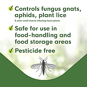 Enoz BioCare Gnat Stix for Fungus Gnats and Aphids, Pest Control for Plants and Greenhouses, Safe & Effective, 12 Pack