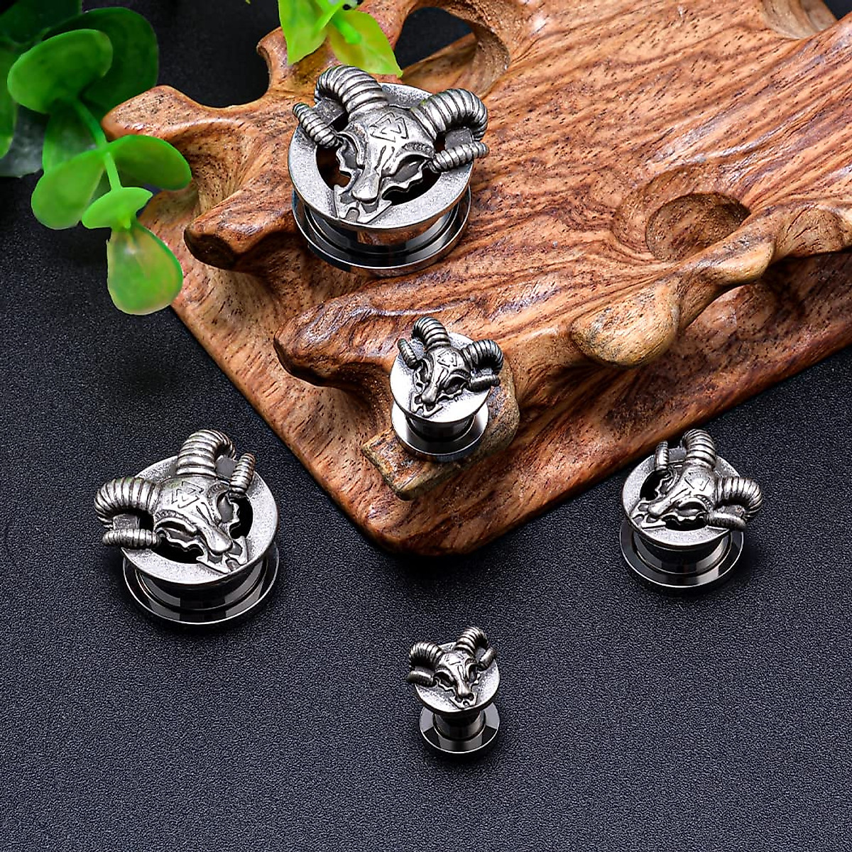 COOEAR Eyelet Ear Plugs Stainless Steel Tunnels Screw back Gauges Sheep Stretcher Expander Earrings Size 2g to 1 inch.