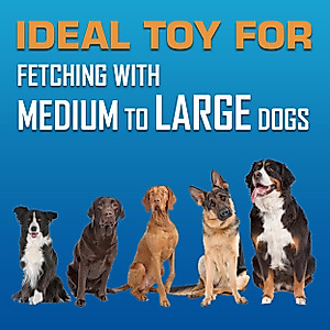 Nerf Dog Tire Flyer Dog Toy Gift Set, 10 Inch Flying Disc Dog Fetch Toys, Rubber Dog Toy for Medium Dogs and Large Dogs, Red, Translucent Green and Translucent Blue, 3 Count