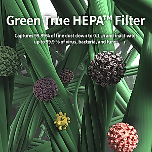 Coway Airmega 150 Air Purifier Replacement Filter Set, Green True HEPA and Active Carbon Filter, AP-1019C-FP