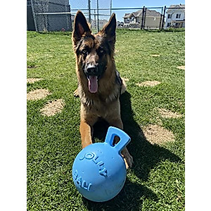 Jolly Pets Tug-n-Toss Heavy Duty Dog Toy Ball with Handle, 8 Inches/Large, Blueberry