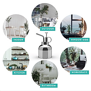 LOOPSEED Plant Mister Spray Bottle Stainless Steel Watering Can for Indoor Plants Succulent Bonsai Garden Houseplant Spritzer Modern Garden Tools 10oz/300ml (Silver)